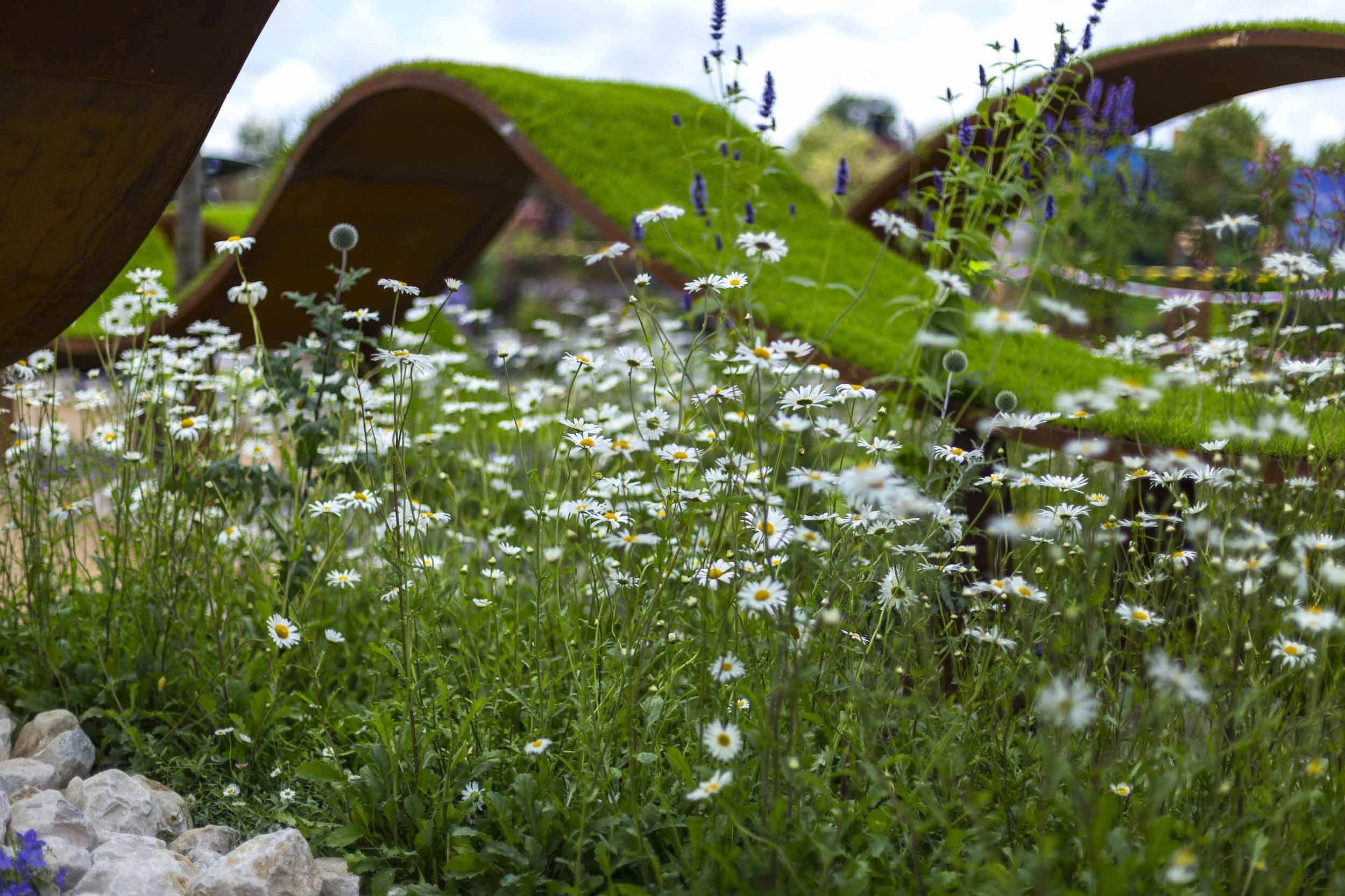 World Vision Garden, Gold Medal Winning Garden RHS Hampton