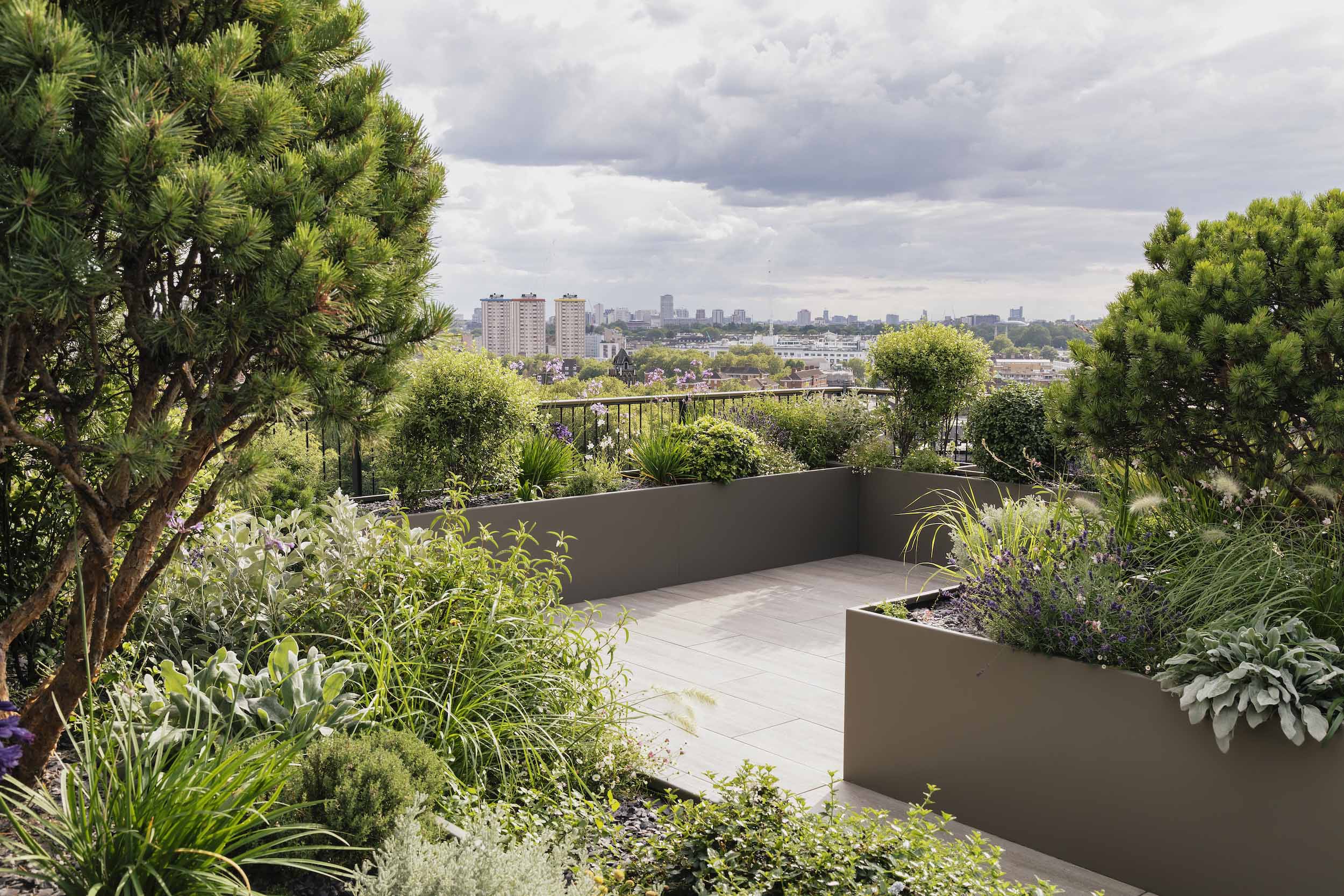 Roof Terrace Designer Belgravia Emily Erlam Garden Builders