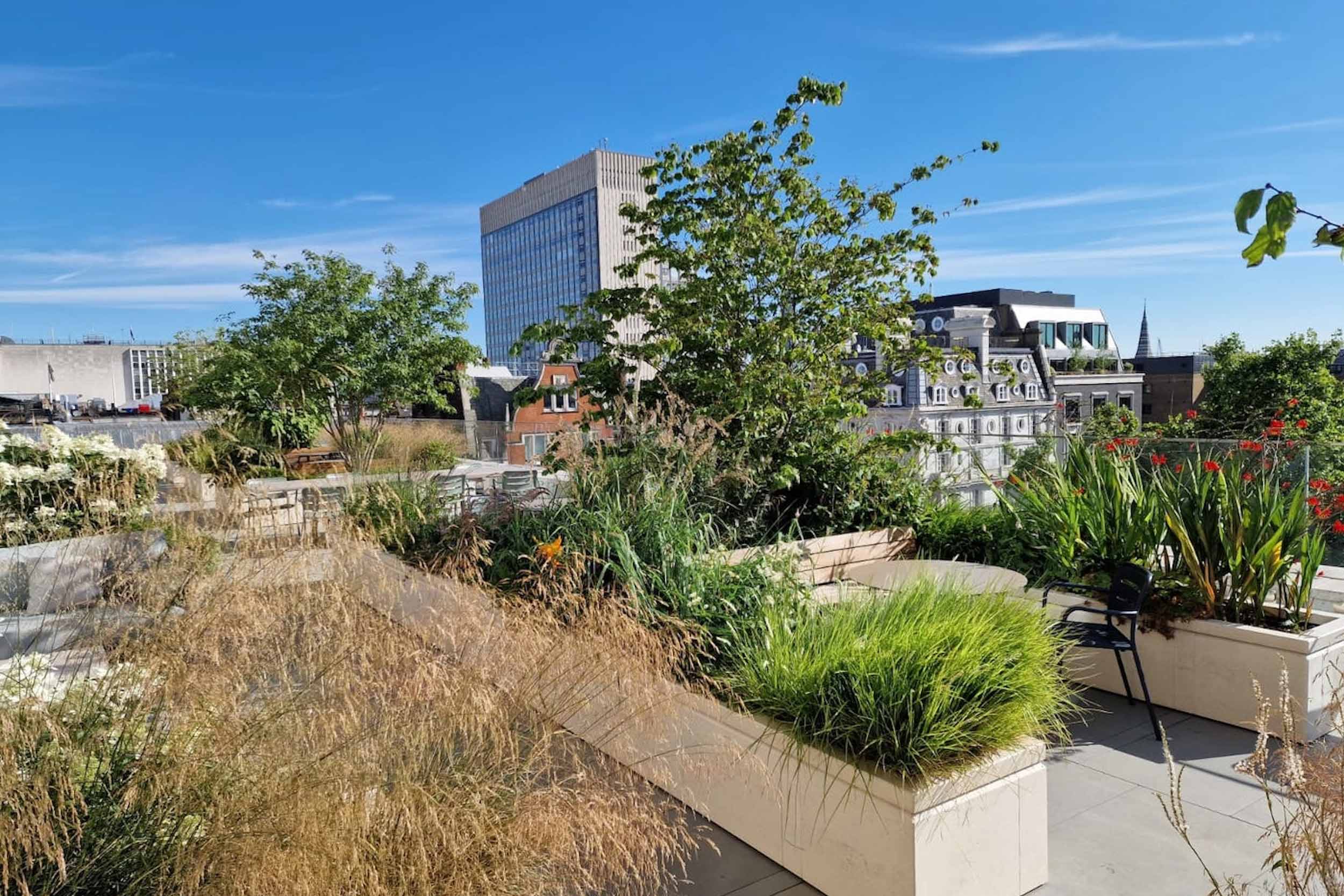 Commercial Roof Terrace Design Landscaping Contractor London