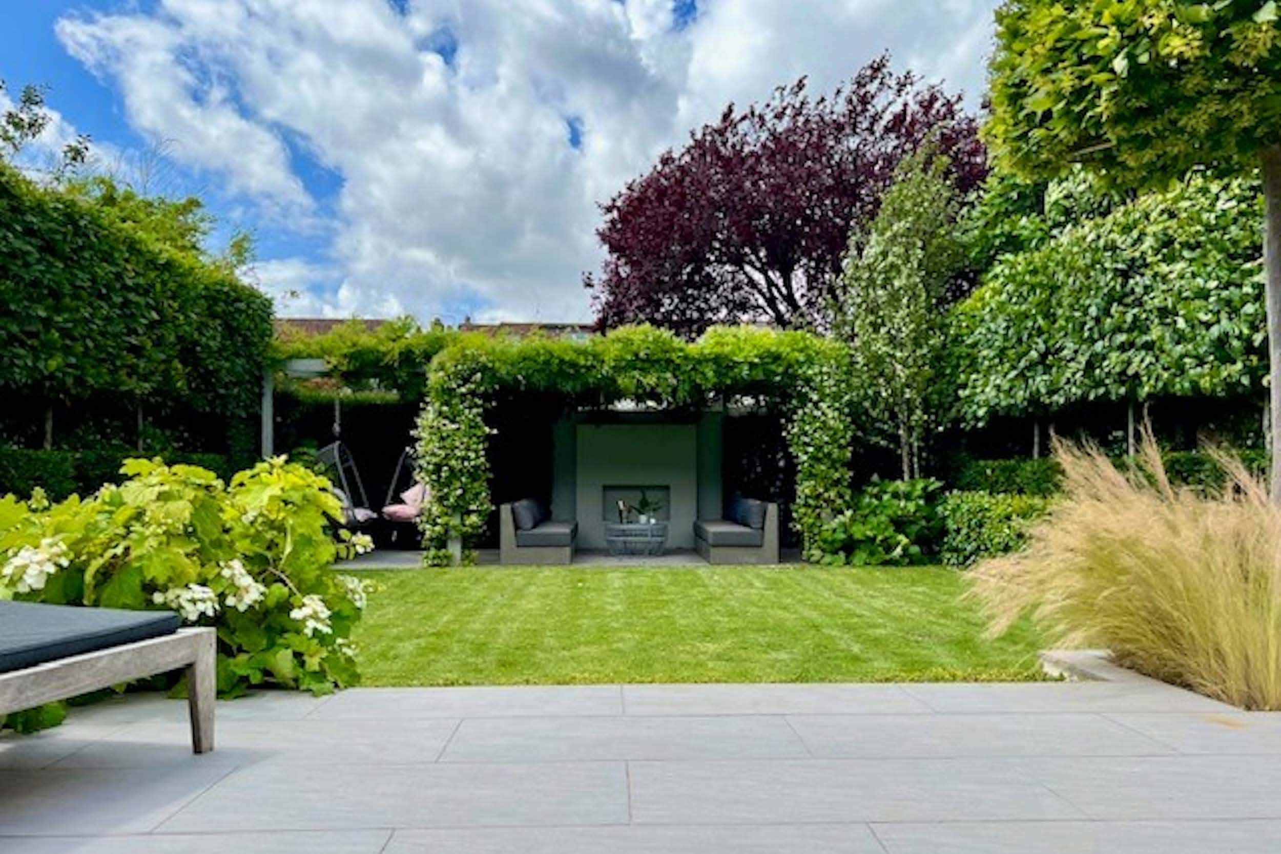 Garden Designer Wandsworth Urban Retreat Cube Planter Betulus