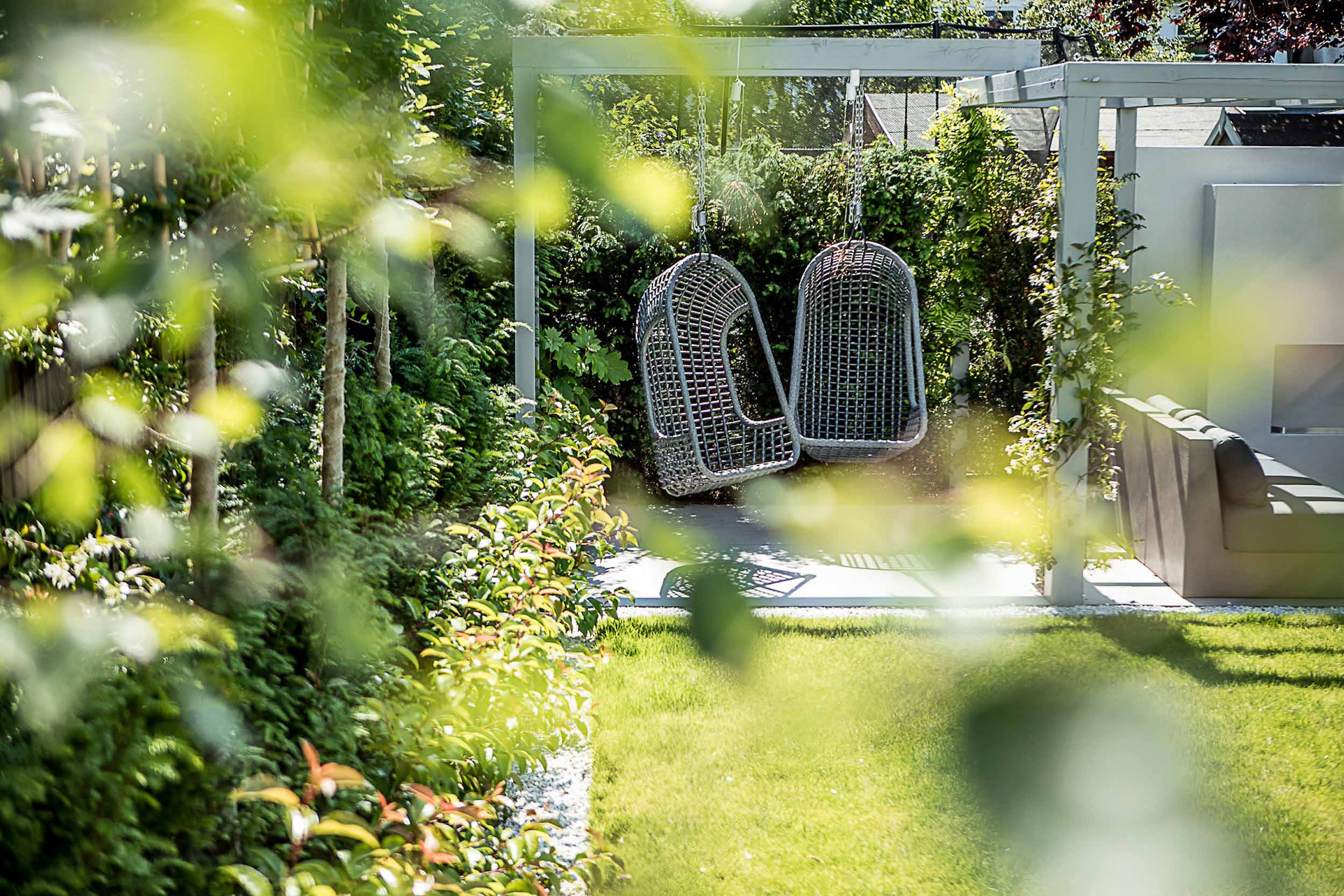 Garden Designer Wandsworth Urban Retreat Cube Planter Betulus
