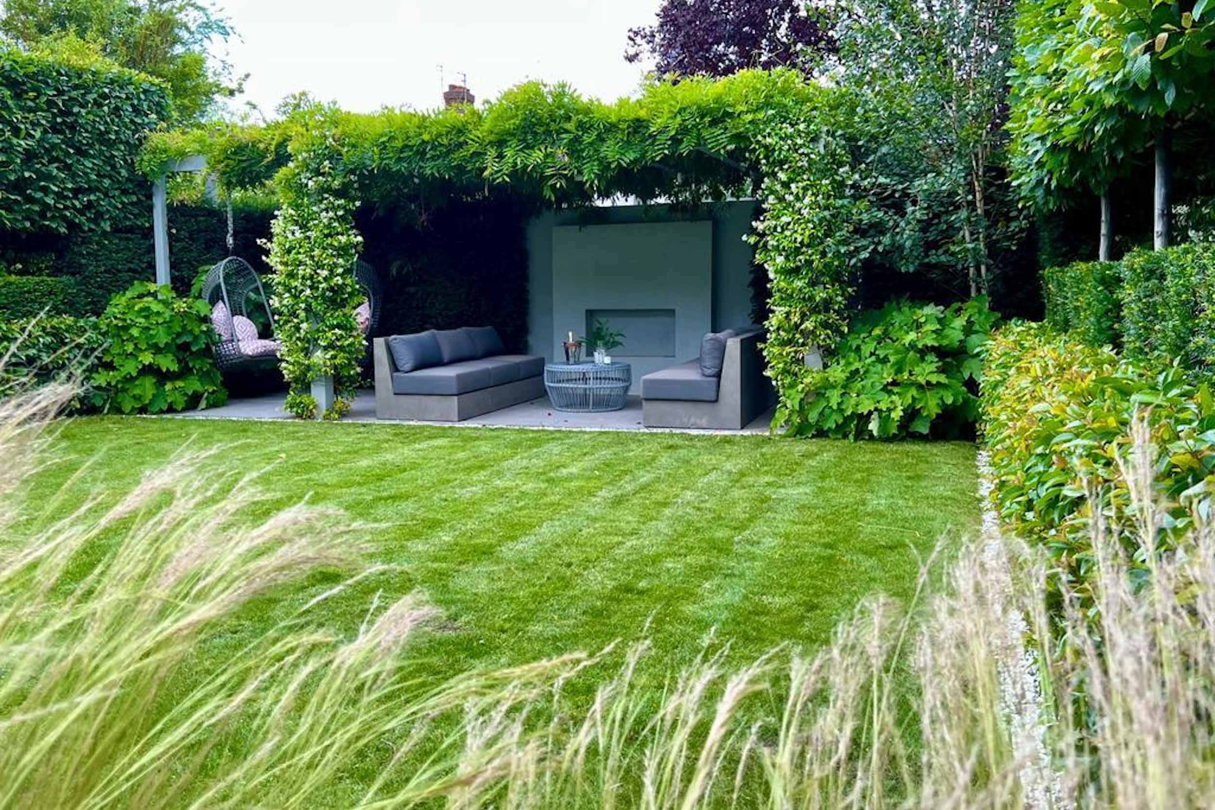 Garden Designer Wandsworth Urban Retreat Cube Planter Betulus