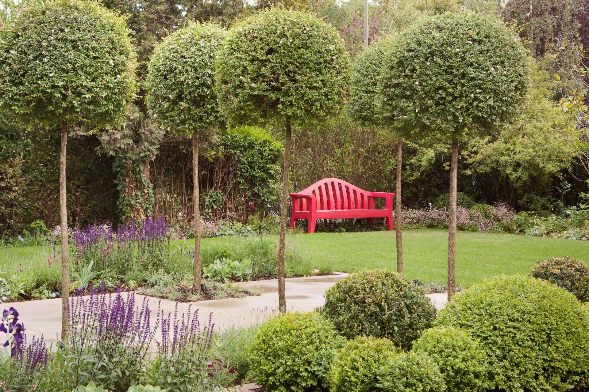 Stunning Suburban Garden Constructed Hampstead Design Lynne