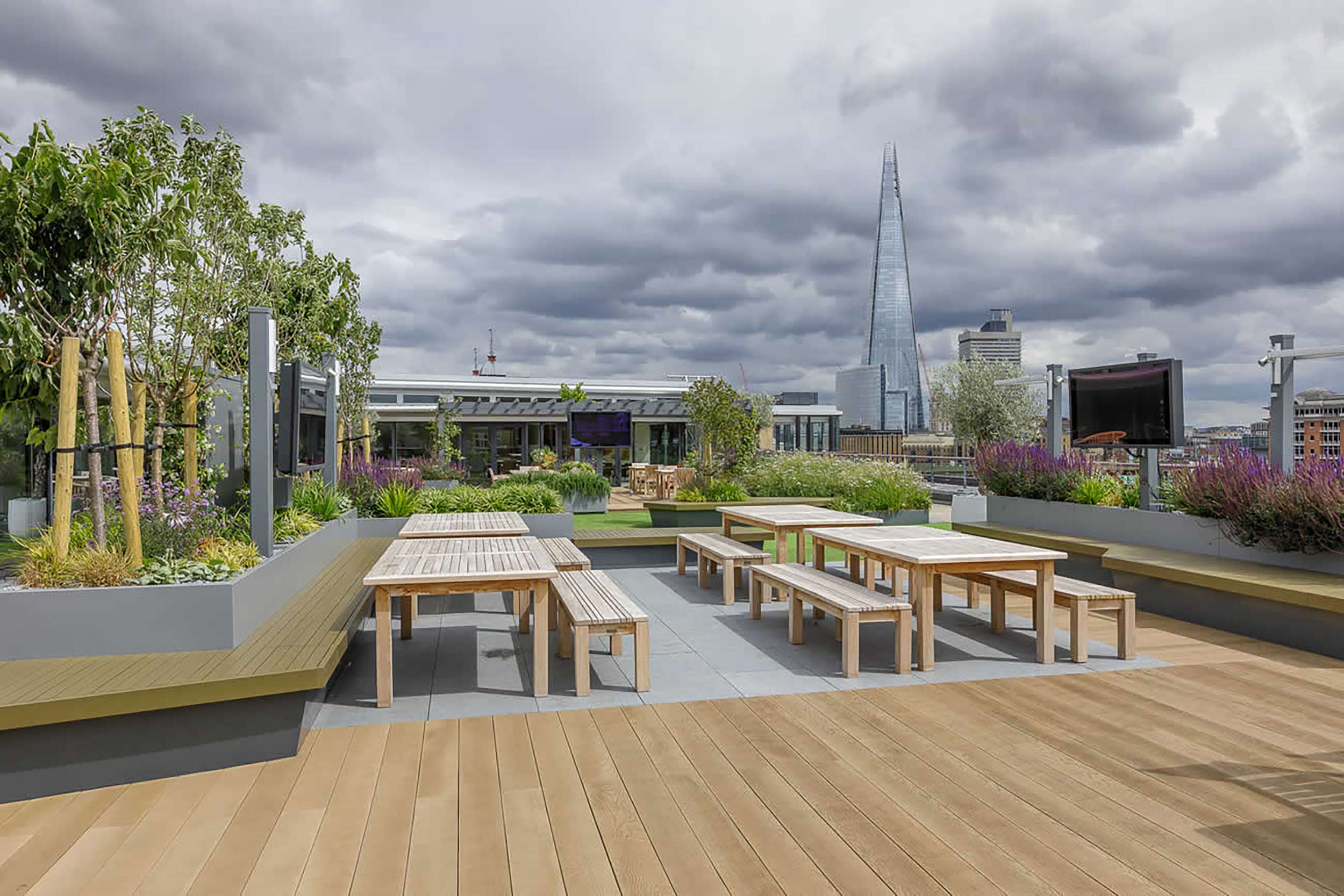 Roof Terrace Commercial Garden Design Specialist Contractor